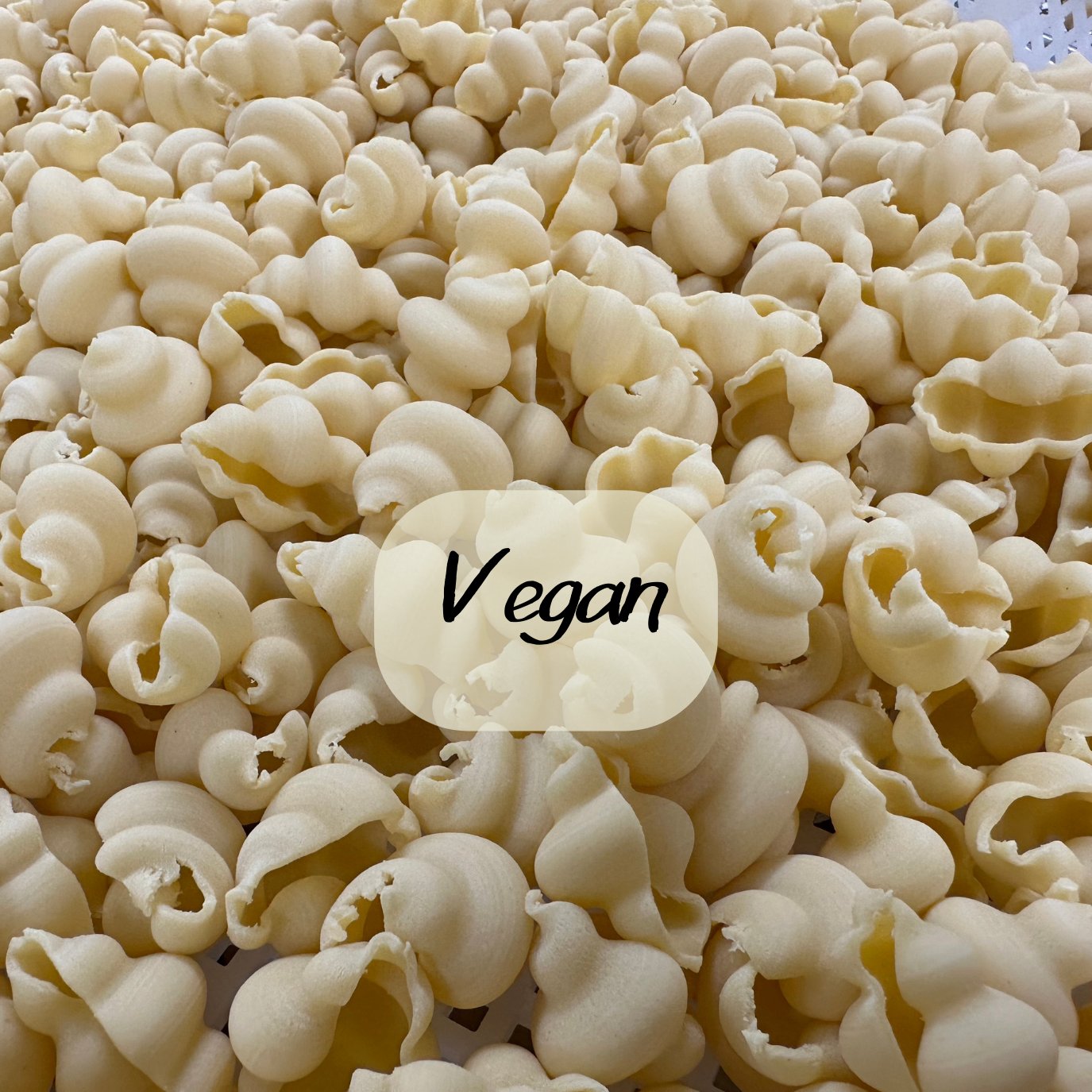 Vegan Pasta – Wildly Beloved Foods