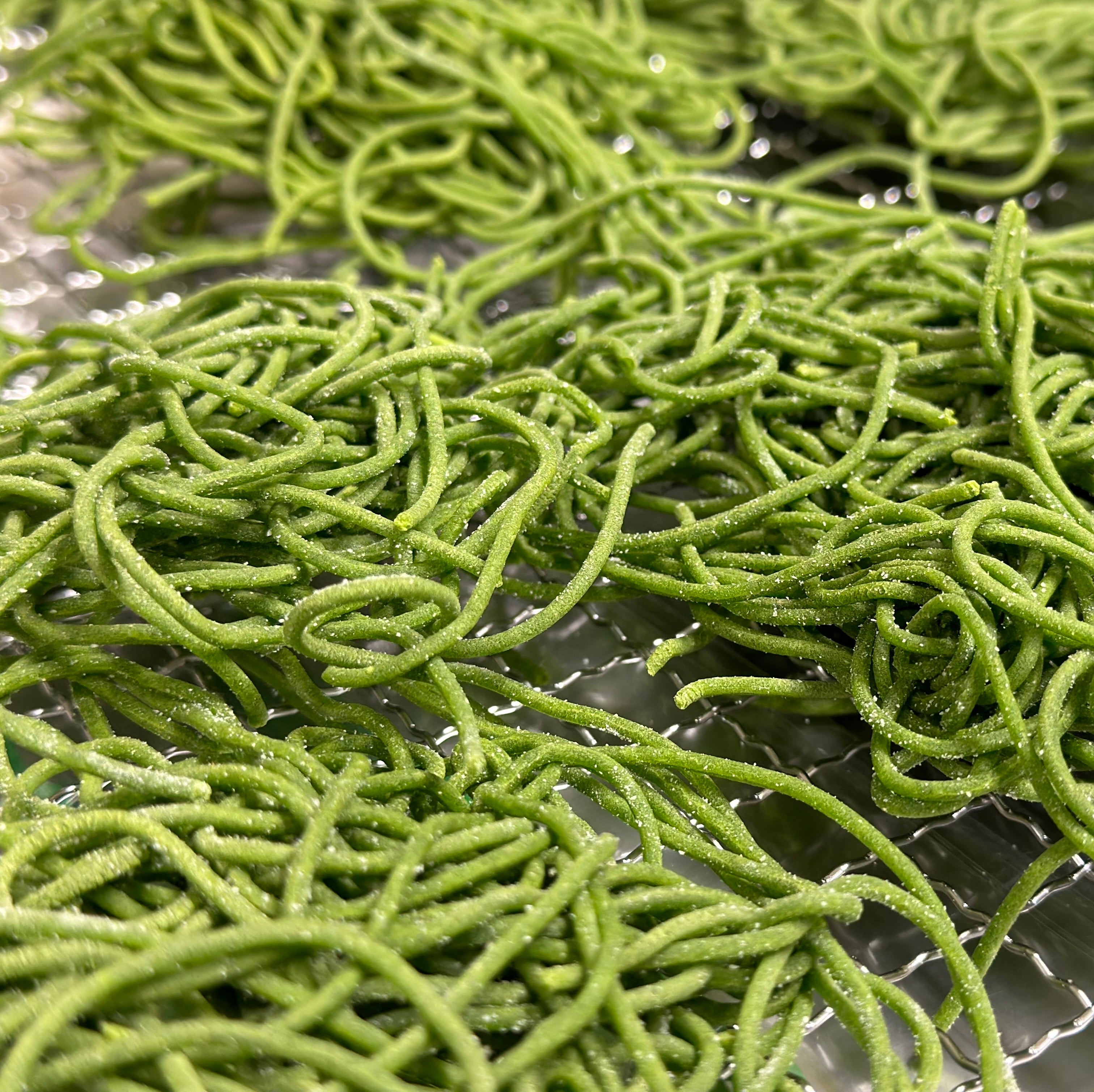 Wholesale Spaghetti – Wildly Beloved Foods